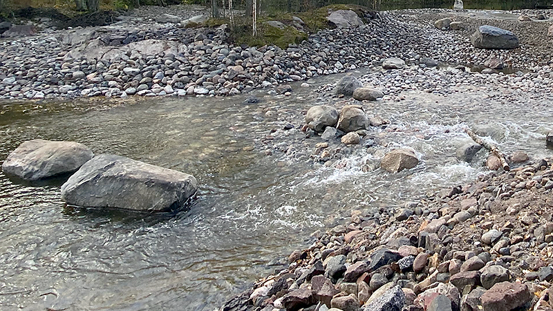UPM's stream water programme will release and restore 500 km of Finland ...